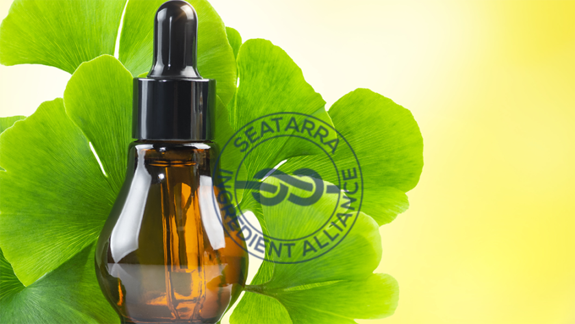 Boost Your Brain Power Herbs That Enhance Cognitive Function Seatarra